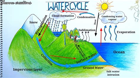 How To Draw Water Cycle Science Project YouTube