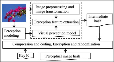 the framework of perceptual image hash download scientific diagram