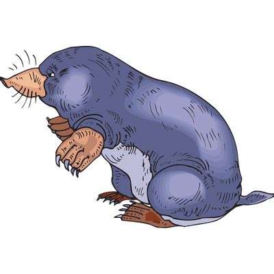 Topo Viejo Dibujo PNG Transparente StickPNG