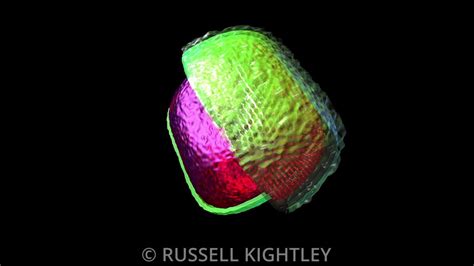 Russell Kightley Scientific Animations Smallpox Complex Section