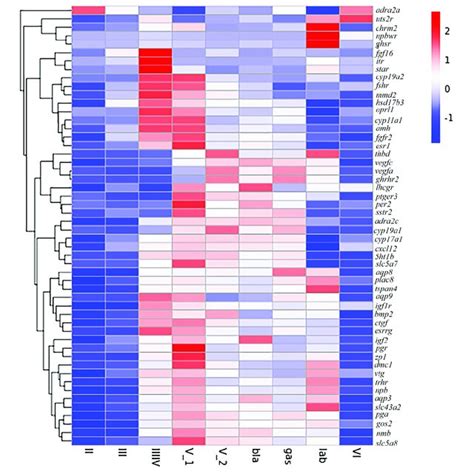 the heatmap of reproduction related degs expression pattern at download scientific diagram