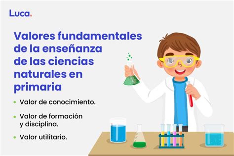 Por Qu Es Importante Ense Ar Ciencias Naturales En Primaria