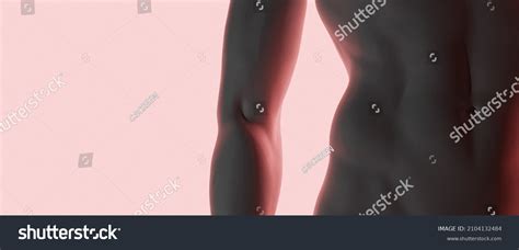 Im Genes De Nudity Male Im Genes Fotos Y Vectores De Stock