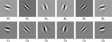 figure 2 from iris features extraction using dual tree complex wavelet transform semantic scholar