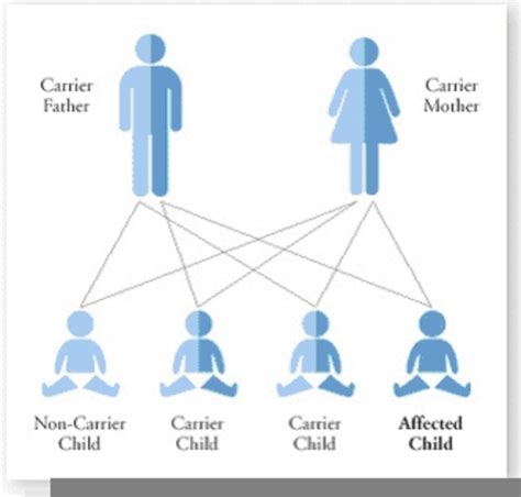 Clipart Genetic Testing Counseling Free Images At Clker Vector