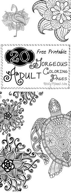 Gambar Songbirds Graphic Collection Gorgeous Free Printable Adult