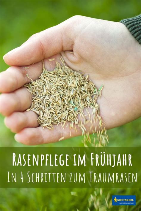 Rasen pflegen im Frühjahr In 4 Schritten zum Traumrasen Rasenpflege