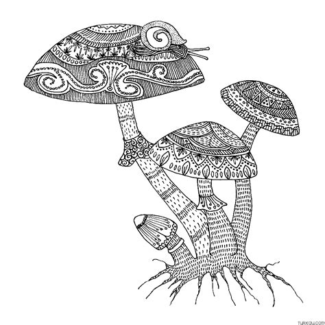 Mandala Mushrooms Coloring Page Turkau