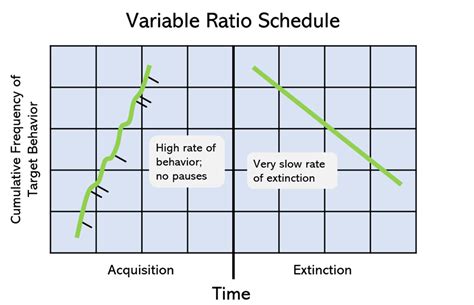Instrumental Conditioning Examples And Definition