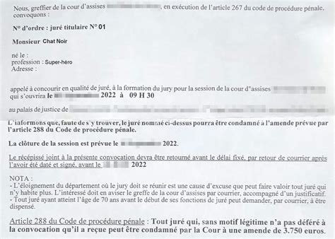 Expérience citoyenne être juré dassises Le Chat Secouriste