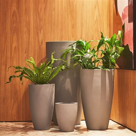 Kit De Vasos Vietnamita Cinza Claro Brasil Nativas Plantas