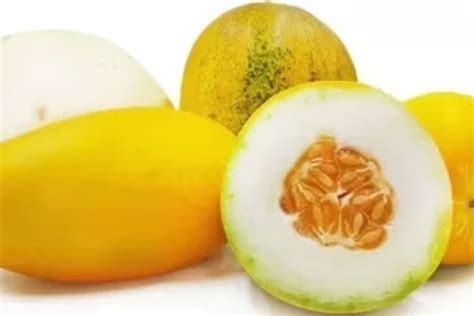 Banyak Diburu Saat Bulan Ramadhan Ini 17 Manfaat Timun Suri Bagi