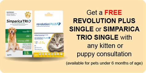 Puppy Kitten Best Start Ashgrove Avenue Veterinary Clinic