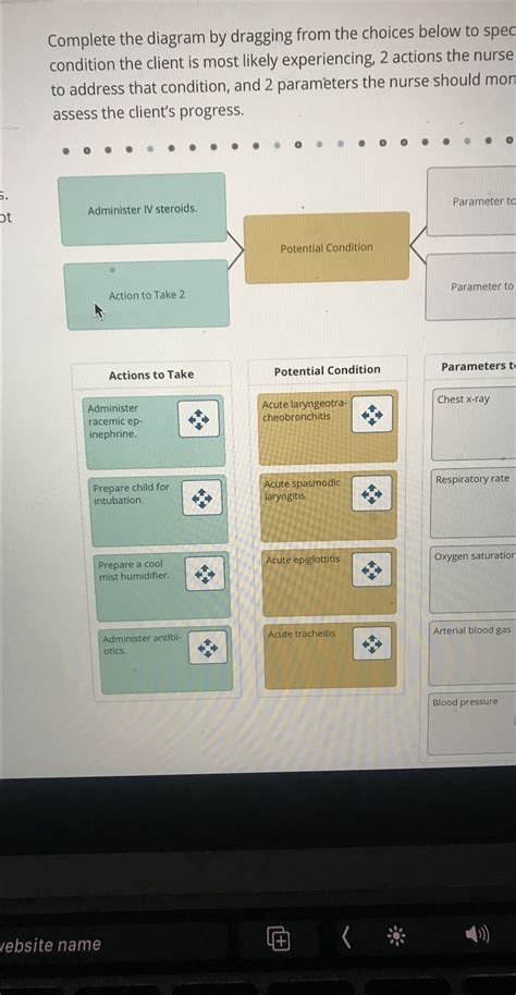 Solved Complete The Diagram By Dragging From The Choices Chegg
