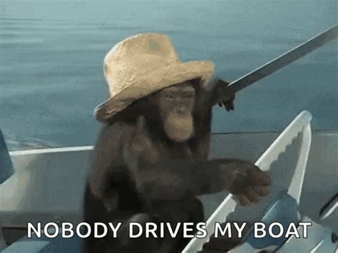 Monkey Boat Monkey Boat Driving Discover Share GIFs
