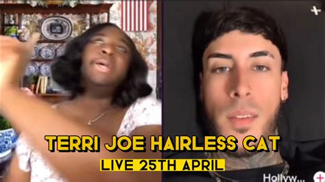 Terri Joe Hairless Cat Youtube