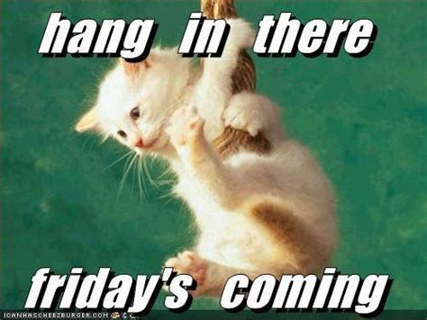 Hang In There Friday S Coming Pictures Photos And Images For