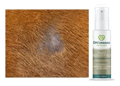 Rem Dio Esporotricose Dermatite Coceira Canina Gato C O Mercadolivre
