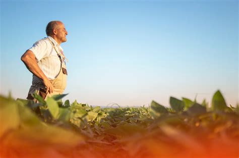 O que é agricultura familiar e qual a importância dessa atividade