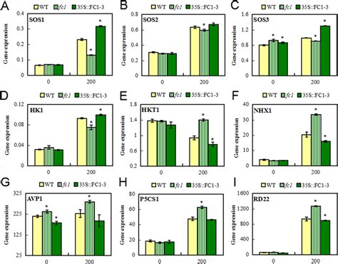 QRT PCR Analysis Of Salt Stress Responsive Genes In Fc1 Mutant And 35