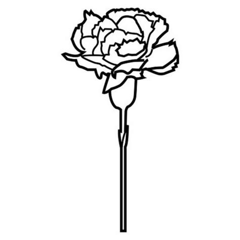 Dibujo De Clavel Para Colorear Para Colorear