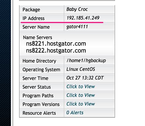 How To Back Up Your HostGator Database Support Center