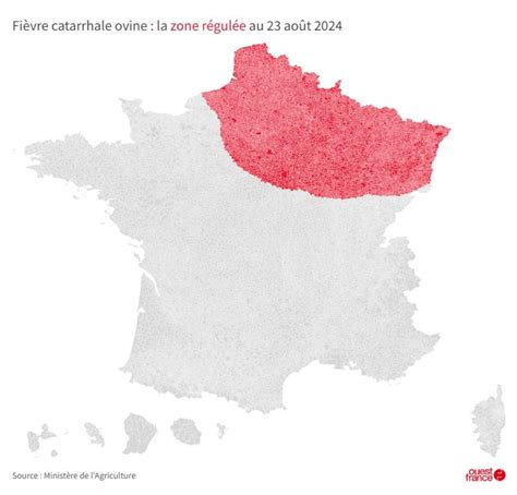 CARTE Fièvre catarrhale ovine 190 foyers confirmés en France le