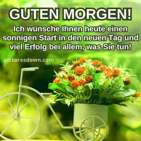 Guten morgen grüße bild Tee Berge picturesdown