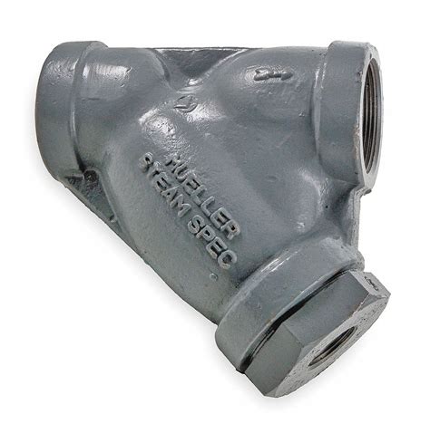 MUELLER STEAM SPECIALTY Stainless Steel 1 In Y Strainer 1RNG1 1