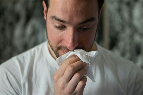 Adiós a la alergia primaveral estos tres remedios naturales avalados