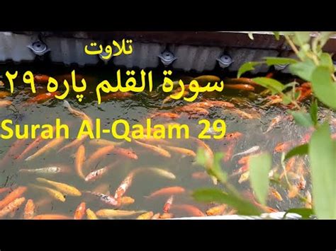 Quran Recitation Surah Al Qalam Then Pen Para 29 ۲۹ سورة القلم