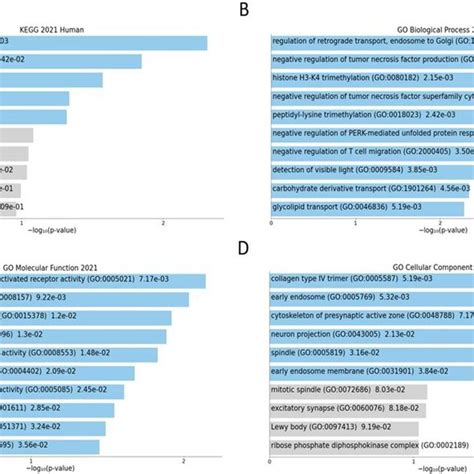 Pathways Analysis A Bar Chart Of Top Enriched Terms From The
