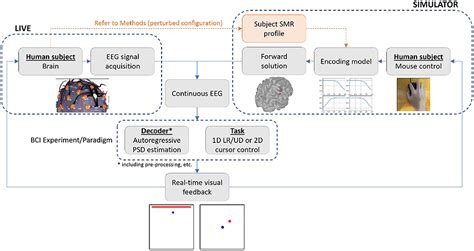 frontiers closed loop motor imagery eeg simulation for brain computer interfaces