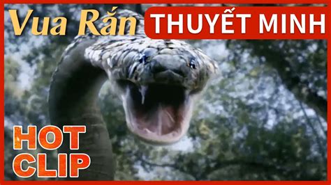 Hot Clip Vua R N I Ch P Ngo I C Nh G P R N Kh Ng L Phim