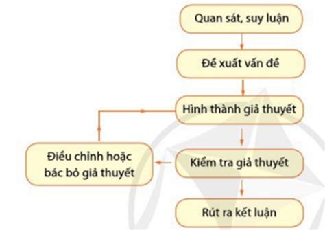 Chi Ti T V M H Nh Nghi N C U Th C Nghi M Hay Nh T Thdonghoadian