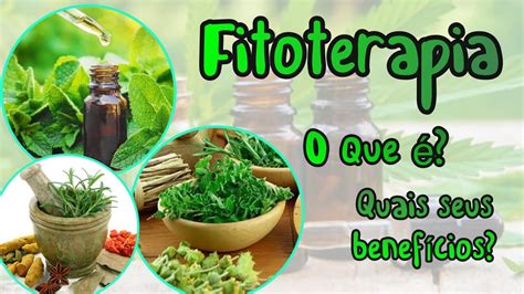 FITOTERAPIA O QUE É E QUAIS OS SEUS BENEFÍCIOS YouTube
