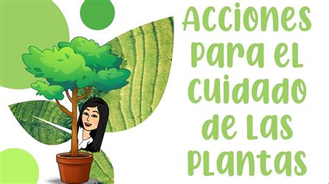 Details 48 como cuidar los árboles y plantas Abzlocal mx