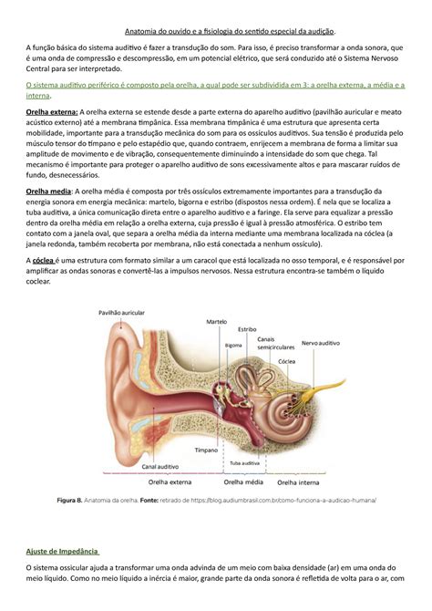 Anatomia do ouvido e audição Anatomia do ouvido e a fisiologia do