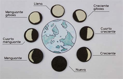 Fases De La Luna Ni Os Dinami