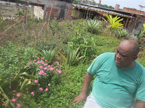 Techo Verde Para Adaptarse Al Calor De Una Favela En Brasil