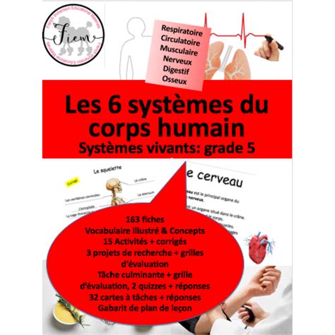 Les Syst Mes Du Corps Humain Gr Pages