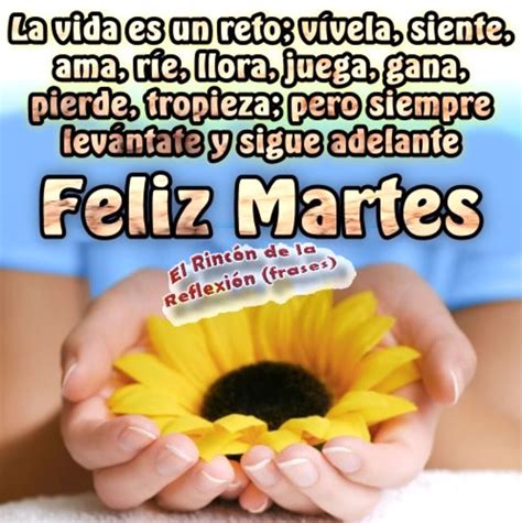 Feliz Martes Fotos 98 Archives BonitasImagenes Net