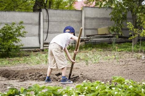 Les 5 Outils Indispensables Pour Le Potager Gamm Vert