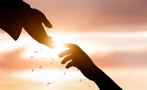 El pacto de la promesa Universal México Universal México