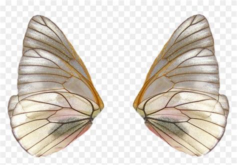 Share This Image Realistic Fairy Wings Png Transparent Png 922x600