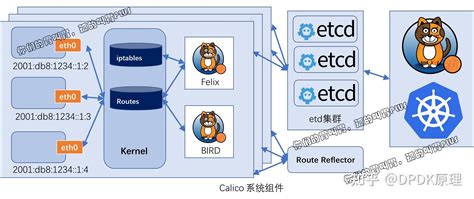 kubernetes ——calico网络插件 知乎