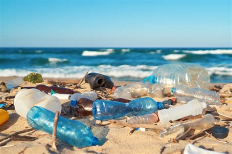 Ahora sabemos a dónde va la basura plástica de los océanos Bioguia