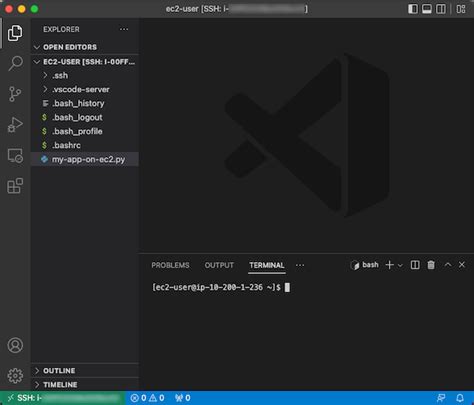 How To Connect To A Private EC2 Instance From A Local Visual Studio