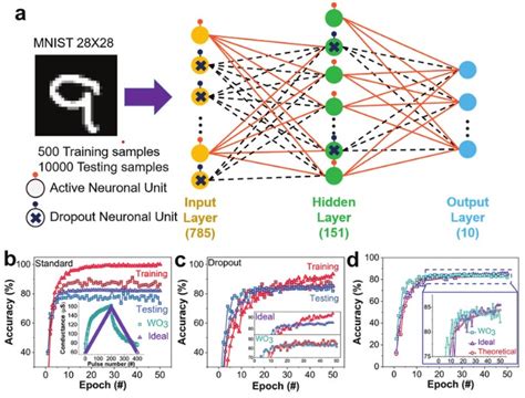 An Introduction To Hyperparameter Tuning In Deep Learning