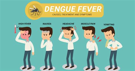 Dengue Fever Causes Treatment And Symptoms Star Health